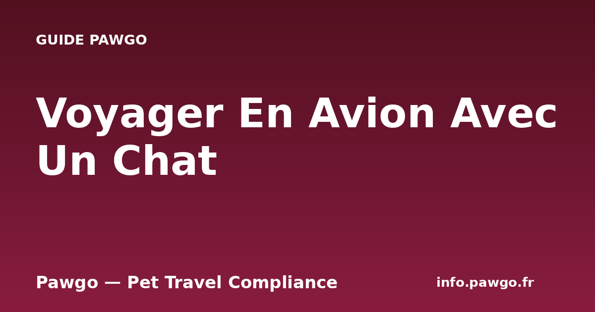 Voyager en avion avec un chat : guide complet 2026 | Pawgo